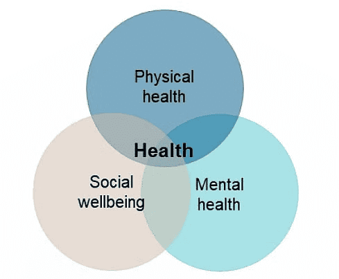 Class 7 Civics Chapter 2 Notes - Role of the Government in Health Free PDF