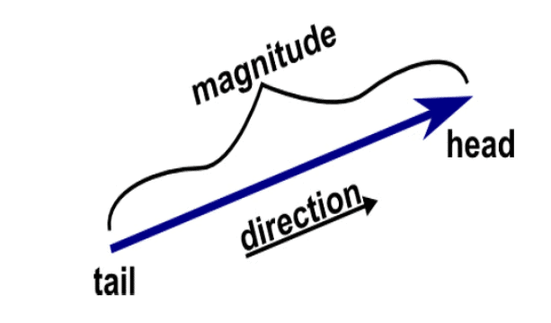 Vectors And Their Addition And Subtraction Physics Class 11 Neet Pdf Download