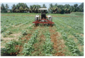 Physical and Cultural Methods of Weed Control - Modern Techniques of ...