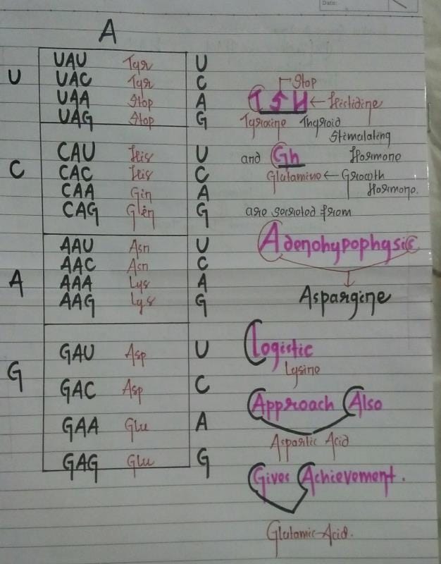 Genetic Codons simplified... - NEET PDF Download