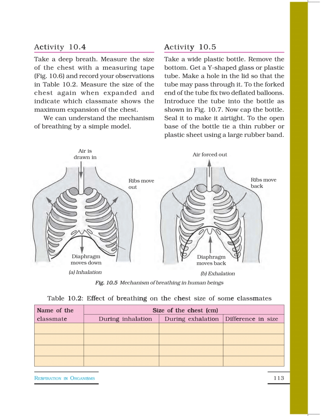 Chapter-10 Respiration in Organisms (e-book). - Class 7 PDF Download