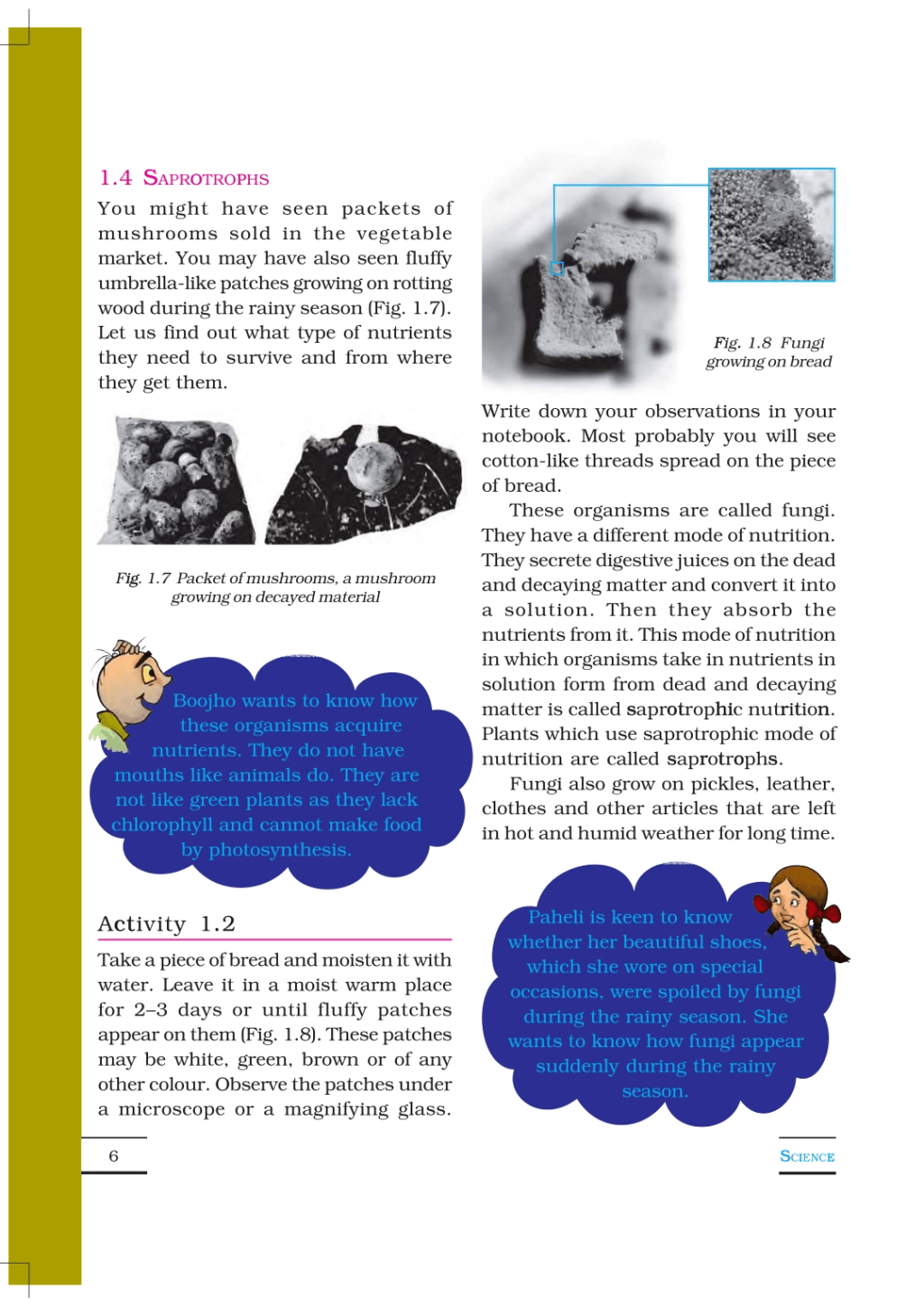 Chapter 1 Nutrition In Plants Class 7 PDF Download chapter-1-nutrition-in-plants-class-7-pdf-download