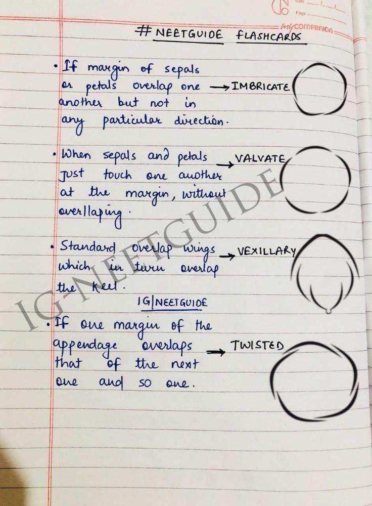 Types of aestivation.its all about to help you so don't answer please? - EduRev NEET Question