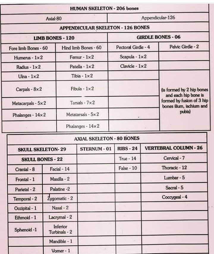 Classification of Bones__its all About to help you so don't answer ...