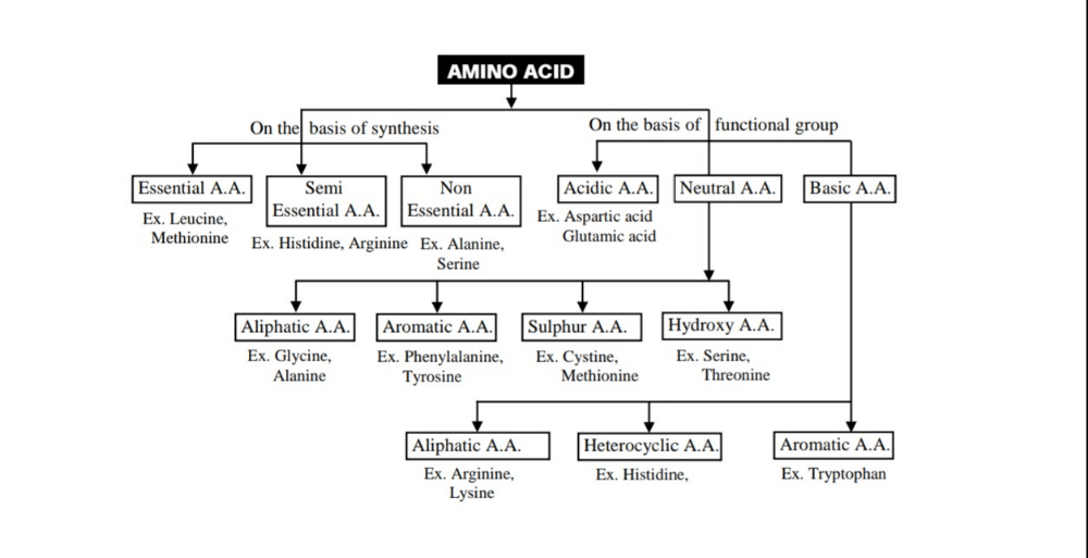 Important Flow Charts: Biomolecules - NEET PDF Download