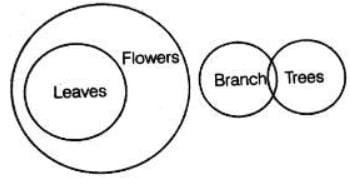 Explained Variance Score