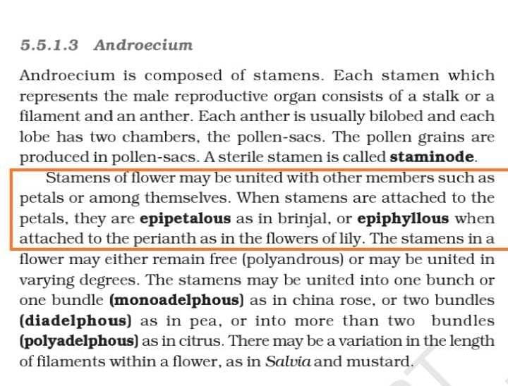 What is difference between epiphyllous/epitepalous and epipetalous ...