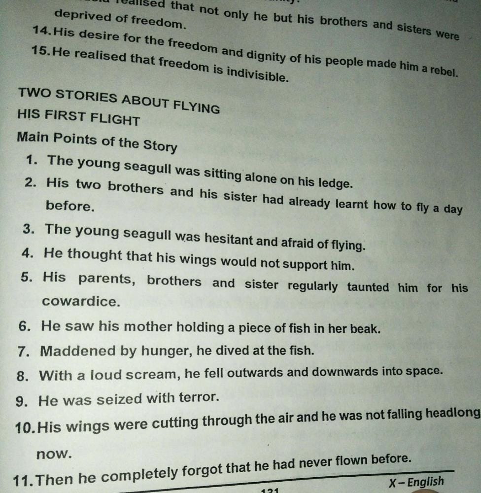 What is the summary of the lesson - first flight? - EduRev Class 10 ...