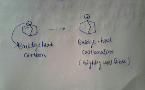 What are bridge head carbocations? - EduRev NEET Question