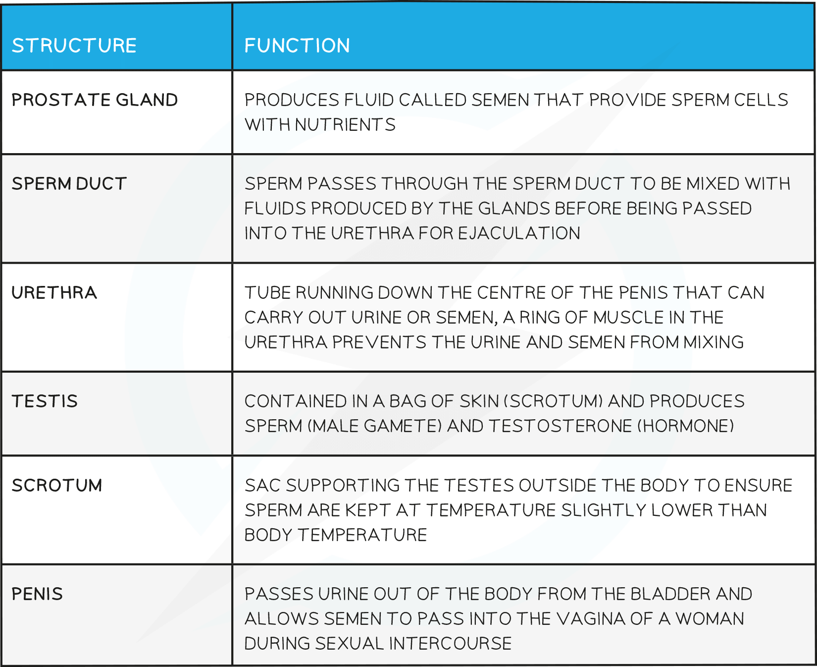 Sexual Reproduction in Humans - Year 9 PDF Download