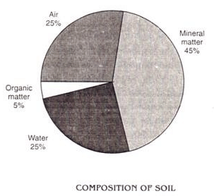 Natural Resources: Meaning and Classification of Natural Resources ...