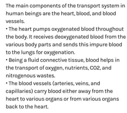 What Are The Components Of The Transport System In Human Beings What 