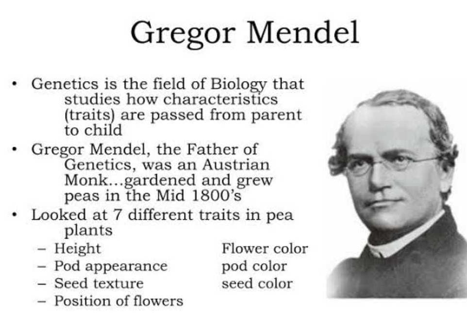 Who is the known as father of genetics? - EduRev Class 10 Question