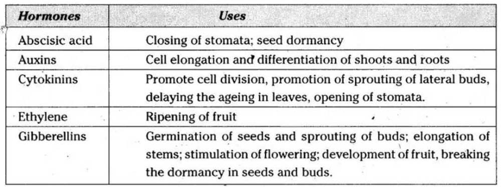 Different types of phytohormones with their main function? | EduRev ...