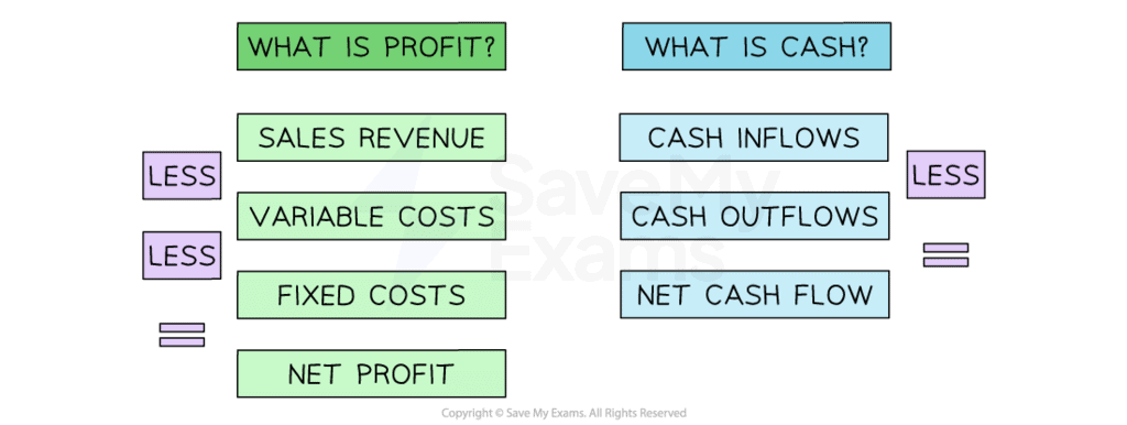 The Importance of Profit - Year 11 PDF Download