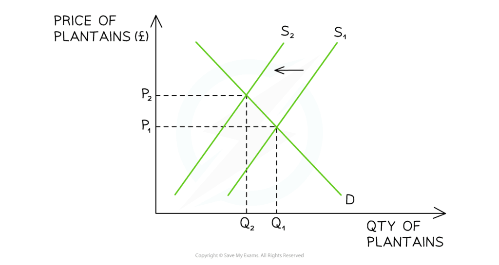 Protection - Year 11 PDF Download