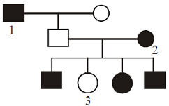 Given below is a pedigree showing inheritance of Myotonic Dystrophy, an ...