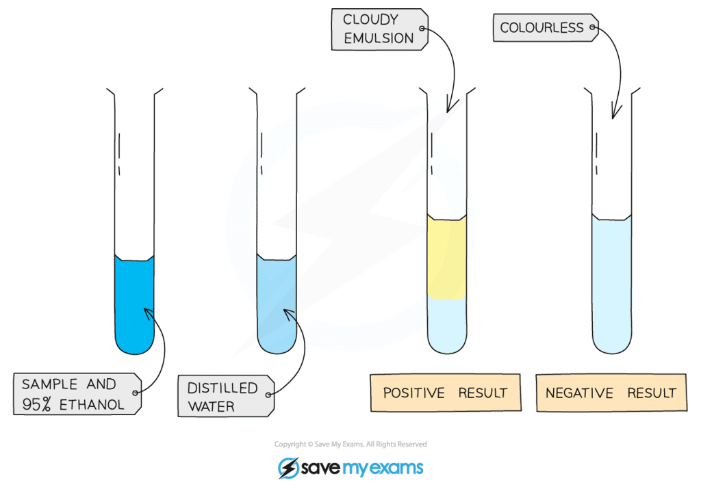 Food Tests - Year 9 PDF Download