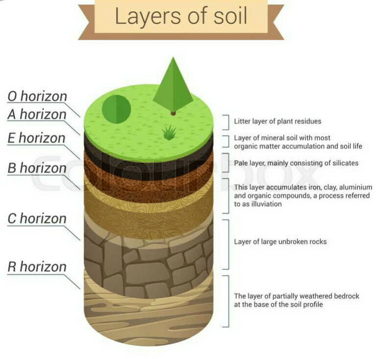 3 Layers Of Soil Topsoil Subsoil Bedrock
