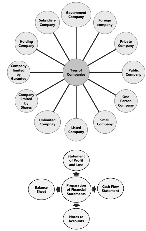 Unit 1: Introduction to Company Accounts Chapter Notes - Accounting for ...
