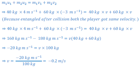 Conservation of Momentum - Numerical Problems - Class 9 PDF Download