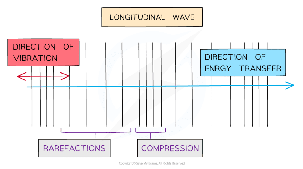 Transverse And Longitudinal Waves Year 11 Pdf Download