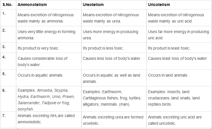 Excretory Products and their Elimination Class 11 Notes Biology