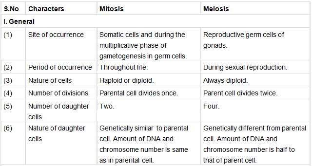 Cell Cycle and Cell Division Class 11 Notes Biology Chapter 10
