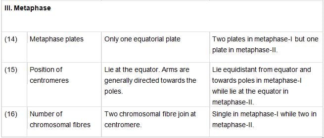 Cell Cycle and Cell Division Class 11 Notes Biology Chapter 10