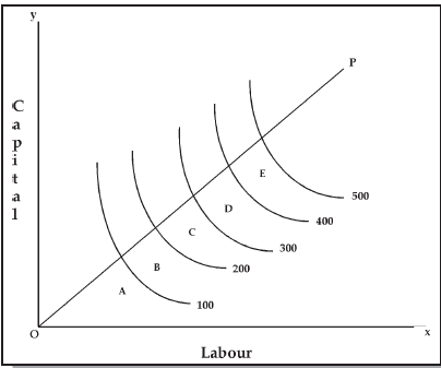 ICAI Notes 3.1 - Theory of Production - CA Foundation PDF Download