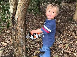 The Giving Tree Class 4 Worksheet English