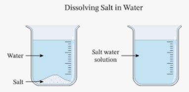 Solids, Liquids and Gases - 1 Class 4 Worksheet Science