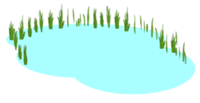 Worksheet: It's Raining - 2 - EVS for Class 3 PDF Download