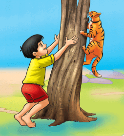 It is Fun Summary Class 2 English Mridang