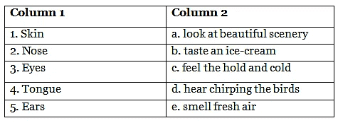 Sense Organs - 2 Class 1 Worksheet EVS
