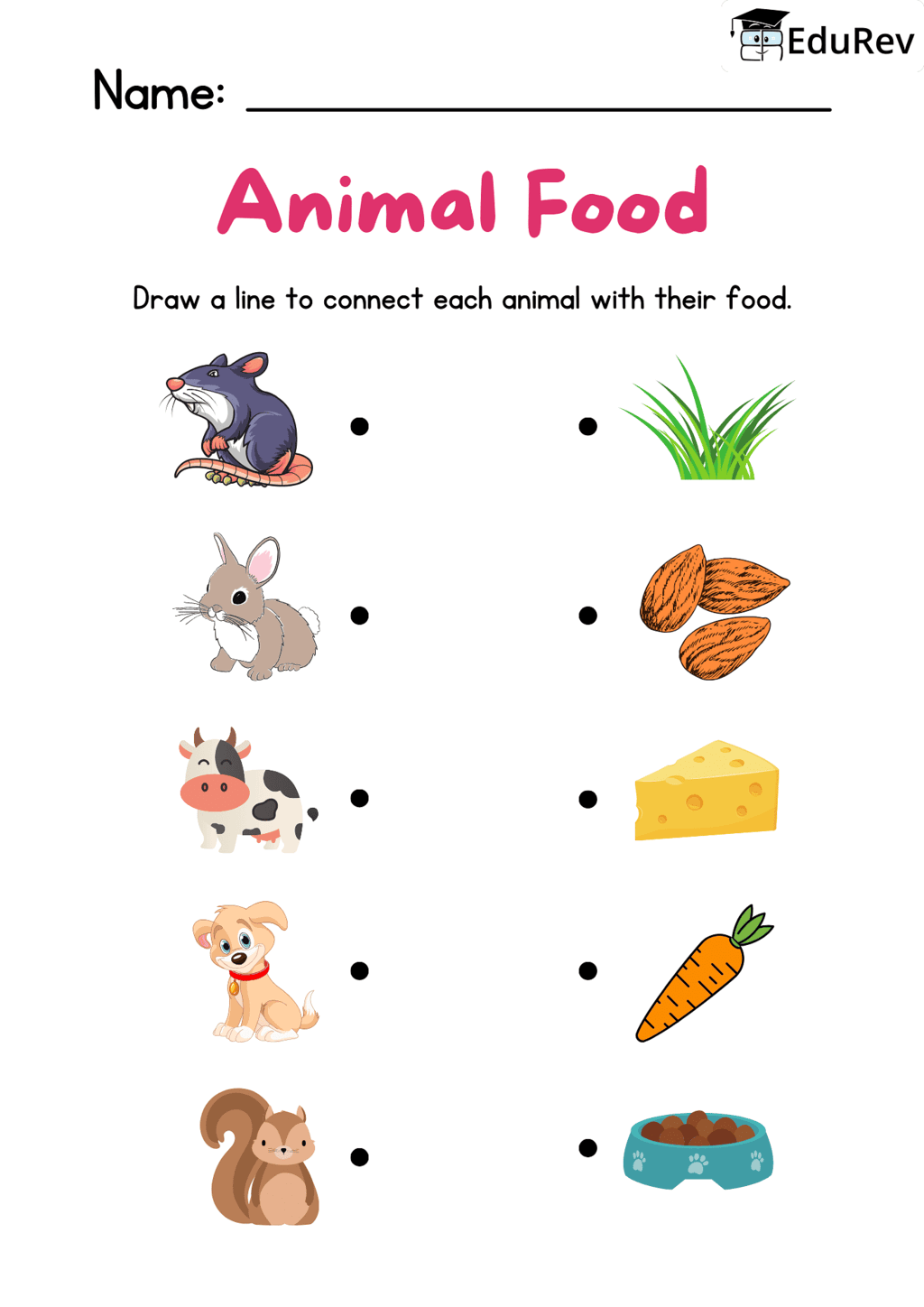 Visual Worksheets - Feed the Animals - Science for Class 3 PDF Download