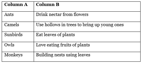 Worksheet: Plants and Animals Live Together - Worksheets with solutions ...