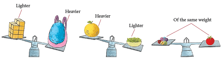 Measurement of Length and Mass - Mathematics for Class 2 (Joyful ...