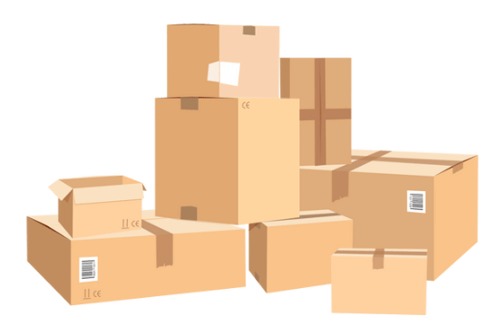 Practice Questions: One and Many - English Olympiad Class 1 PDF Download