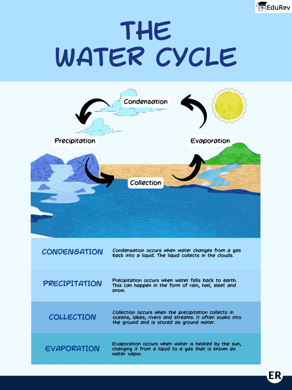 Learning Poster: Water Cycle - Science for Class 4 PDF Download