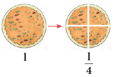 Fractions Class 3 Notes Maths Free PDF