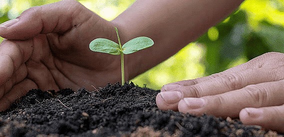 Our Environment - 1 Class 3 Worksheet Science