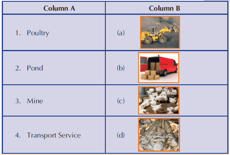 Occupation - 1 Class 3 Worksheet SST
