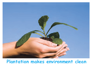 Our Environment Class 3 Notes SST Free PDF