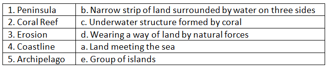 The Coastal Plains and Islands - 2 Class 4 Worksheet SST
