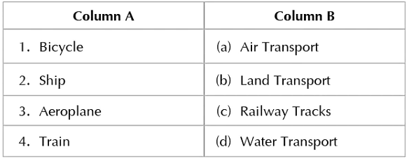 Worksheet and Solutions: Different Types of Transport Class 2 Worksheet ...