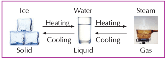 States of Matter Class 3 Notes Science Free PDF
