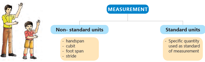 Measurement Class 3 Notes Science Free PDF
