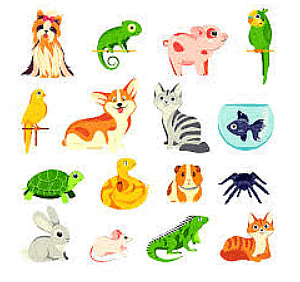Animals Around Us - CBSE Worksheets- 2 Solutions