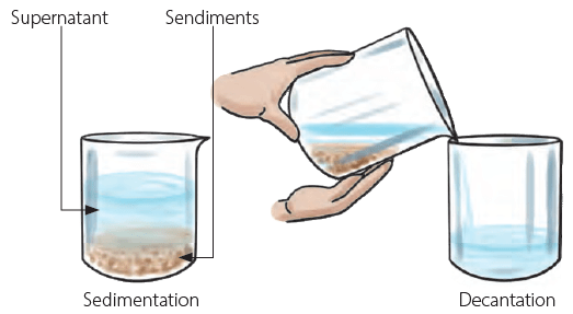 Solids, Liquids and Gases Class 4 Notes Science Free PDF